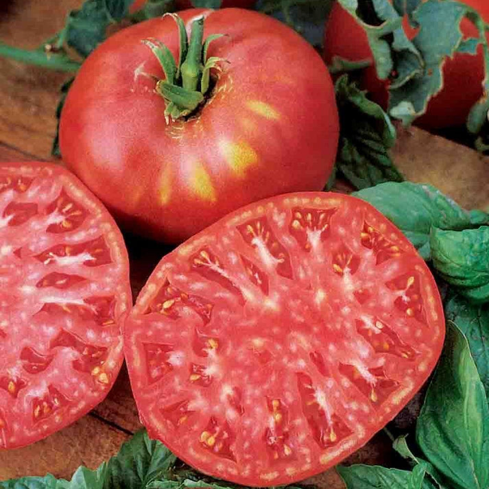 Brandywine Pink Tomatoes 15 Seeds – Capital Garden Center